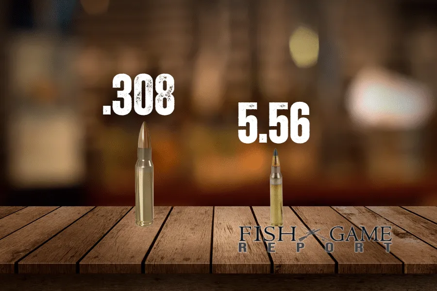 Battle Of The Bullets: Comparing 556 Vs. 308 | Fish and Game Report