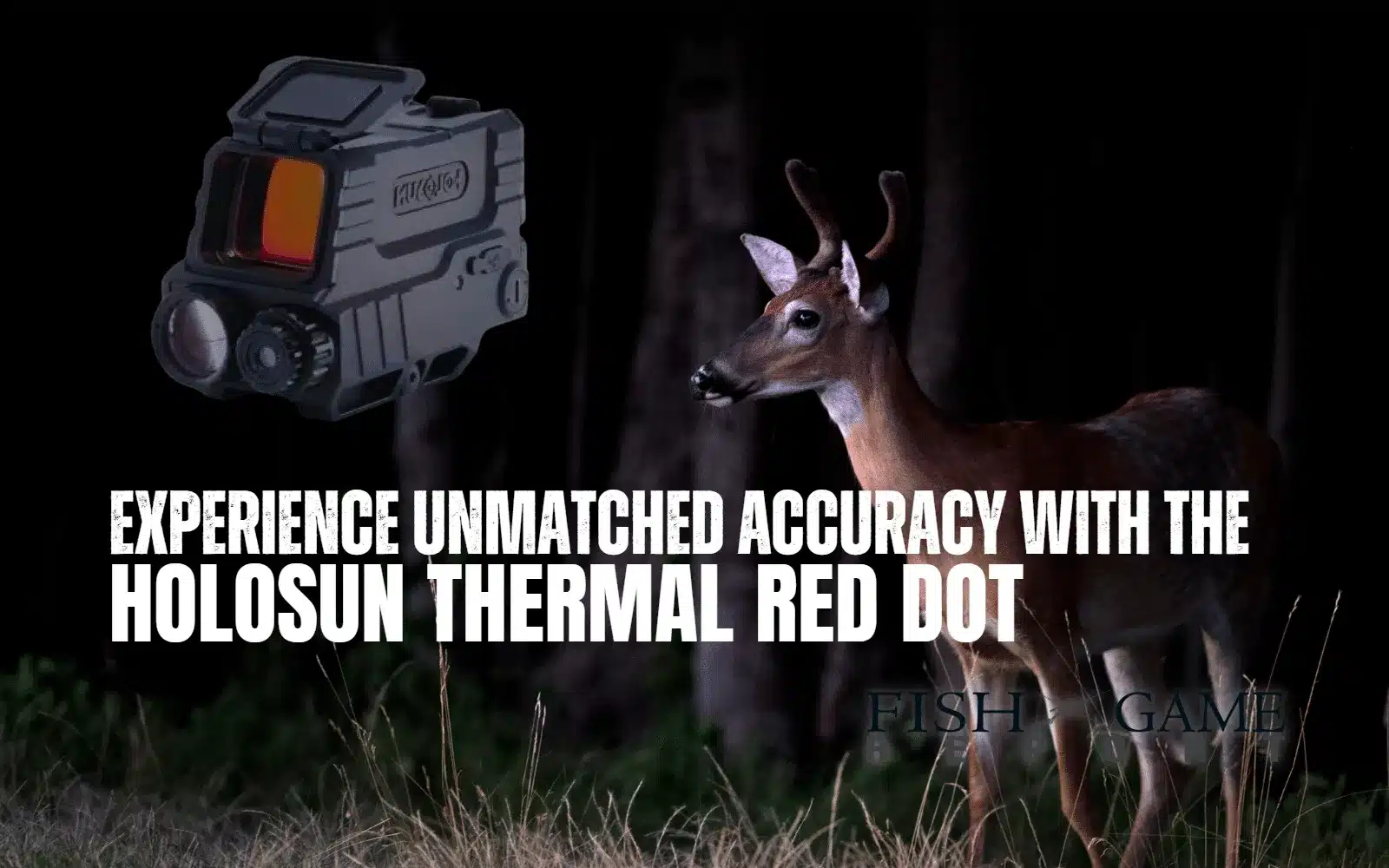 Choosing The Best Bait For Trapping Minnows | Fish and Game Report