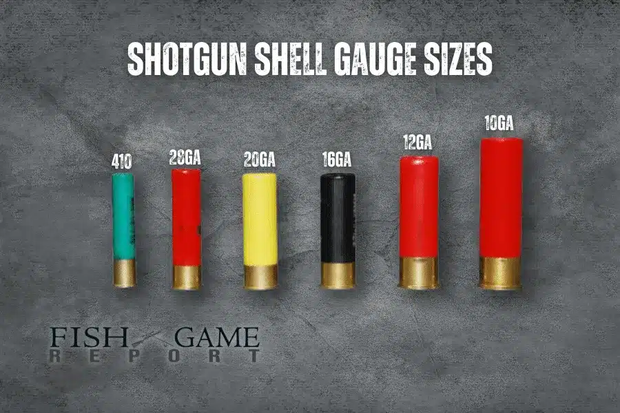Choosing the Right Shotgun for Small Game Hunting | Fish and Game Report